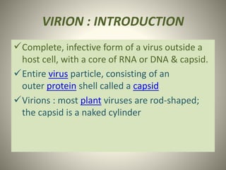 Virion | PPTX