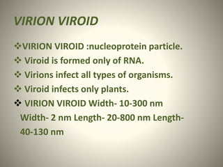 Virion | PPTX