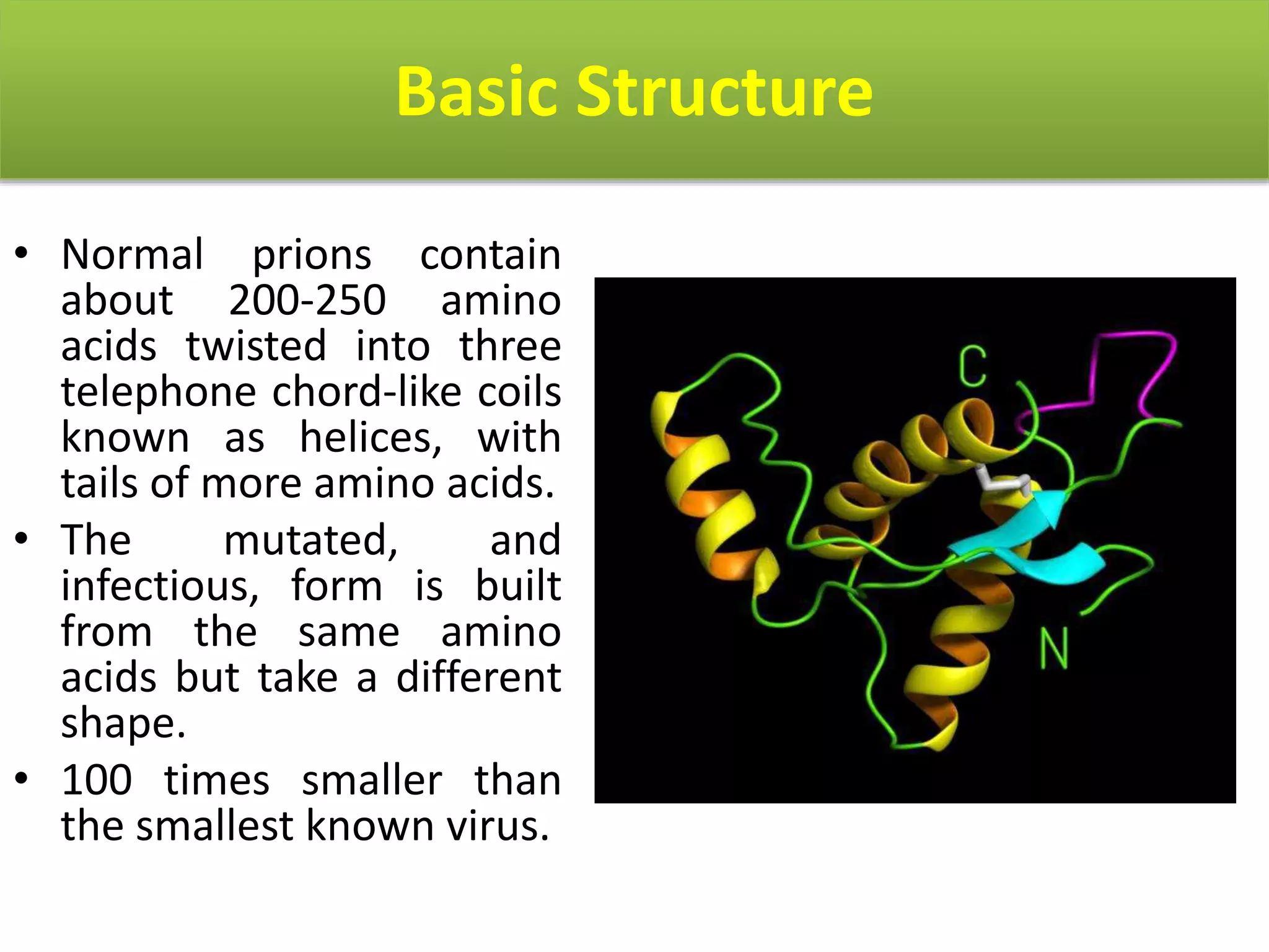 Virion vs viroid & prions | PPTX