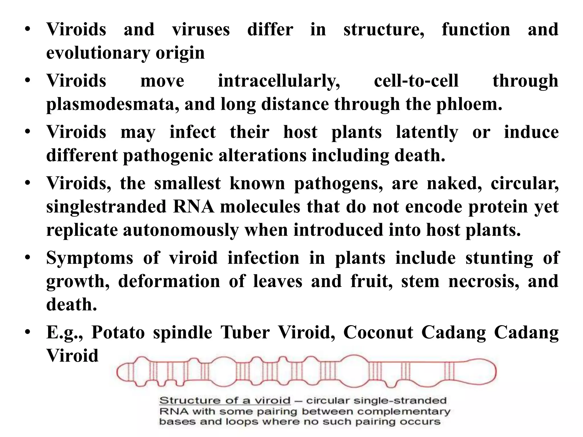 Virion vs viroid & prions | PPTX