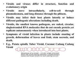 Virion vs viroid & prions | PPTX