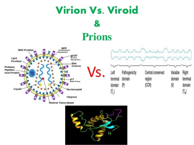 Virion vs viroid & prions