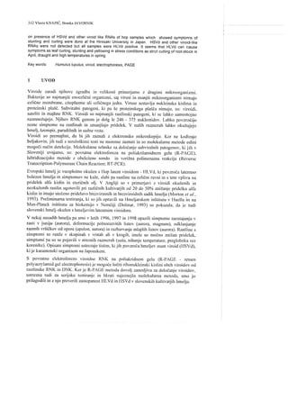 Viroidi v slovenskih kultivarjih hmelja, Knapič V. 1999 | PDF