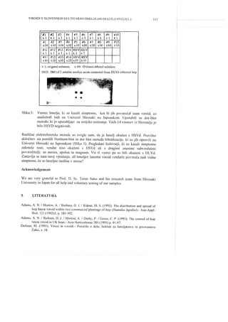 Viroidi v slovenskih kultivarjih hmelja, Knapič V. 1999 | PDF