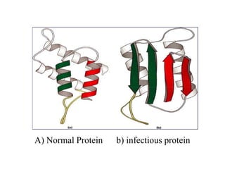 Viroids, Prions and Mycoplasma | PDF