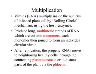 Viroids, Prions and Mycoplasma | PDF