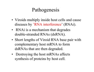 Viroids, Prions and Mycoplasma | PDF