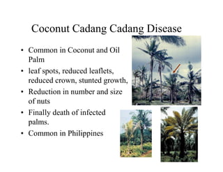 Viroids, Prions and Mycoplasma | PDF