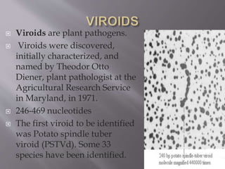 Viroids and prions | PPTX