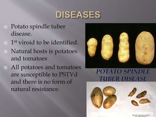 Viroids and prions | PPTX