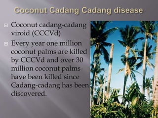 Viroids and prions | PPTX