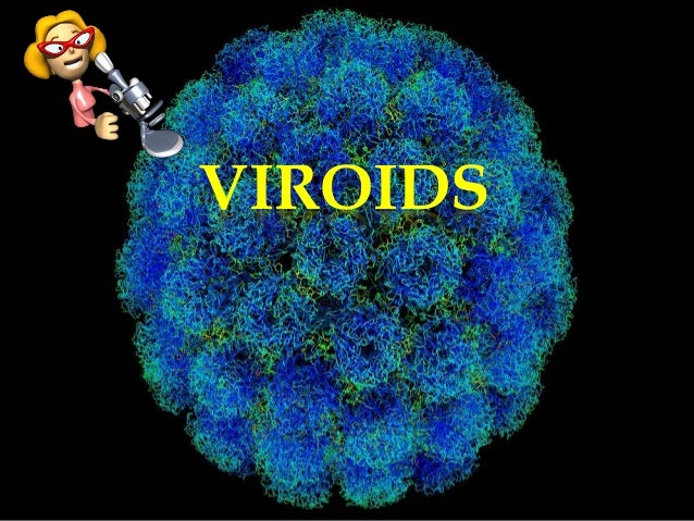 Viroids and prions