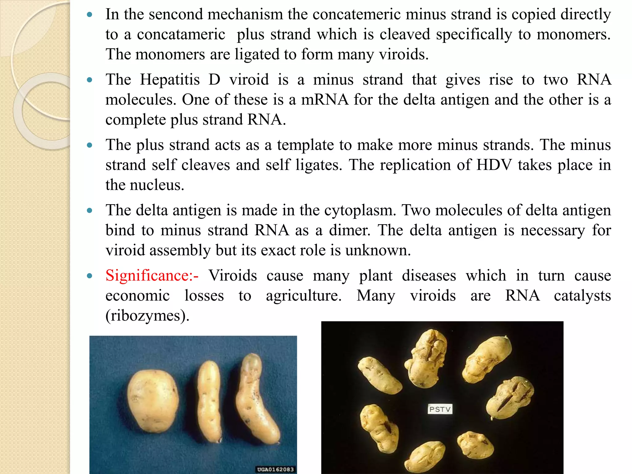 Viroids | PPTX | Chemistry | Science