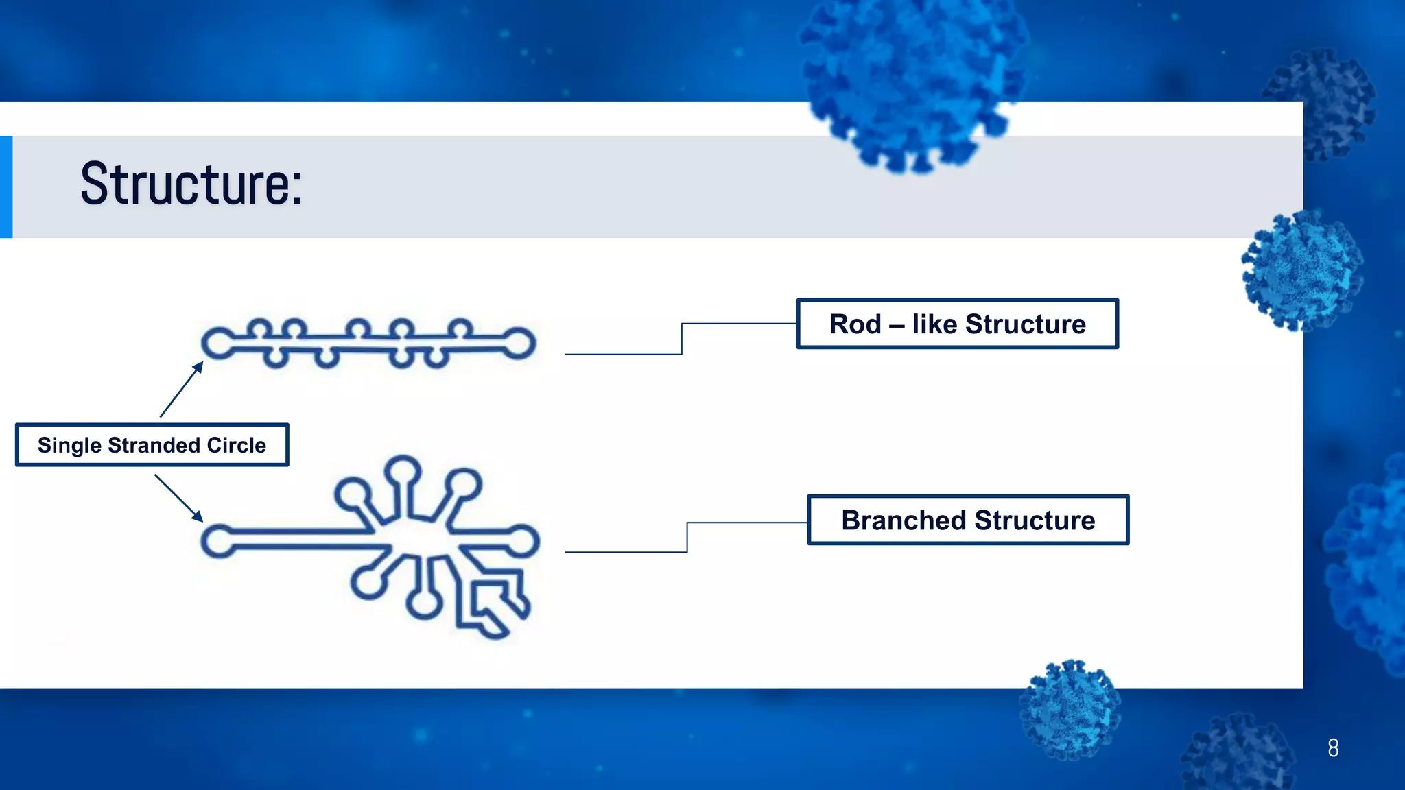 Viroids and Prions.pdf