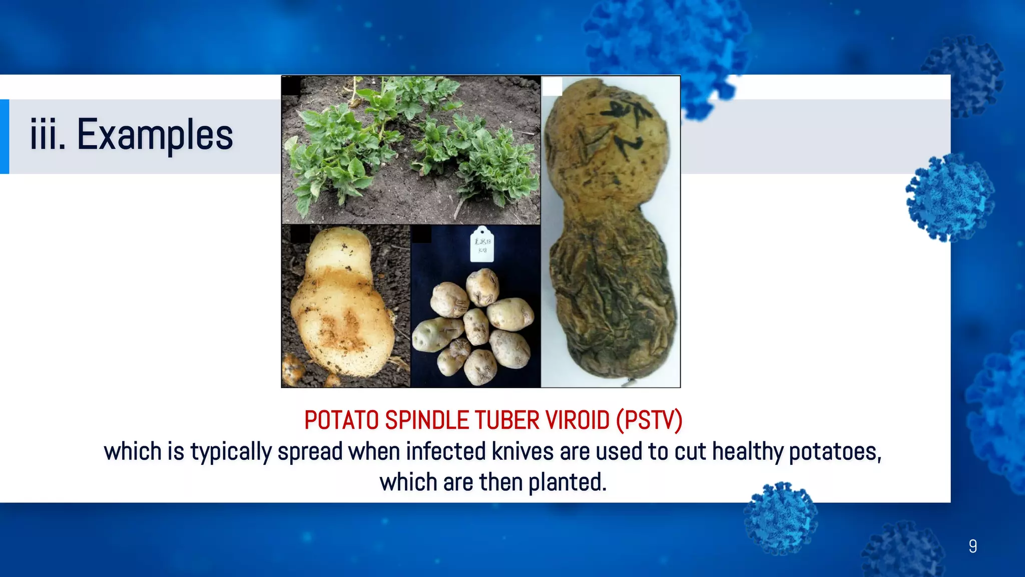 Viroids and Prions.pdf