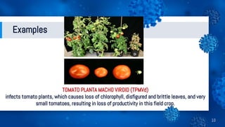 Viroids and Prions.pdf