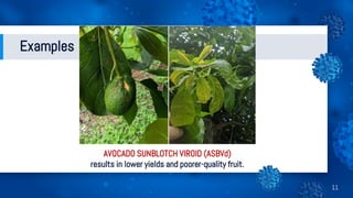 Viroids and Prions.pdf