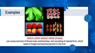 Viroids and Prions.pdf