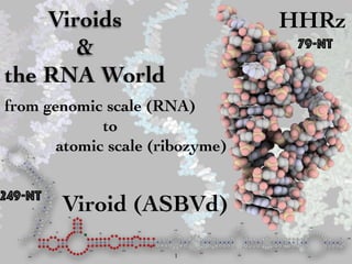 Viroids and the RNA World | PPT