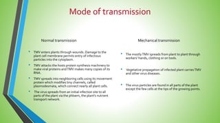 Viroids, prions, tmv virus | PPTX