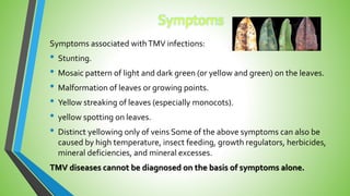 Viroids, prions, tmv virus | PPTX