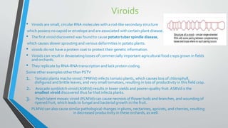 Viroids, prions, tmv virus | PPTX