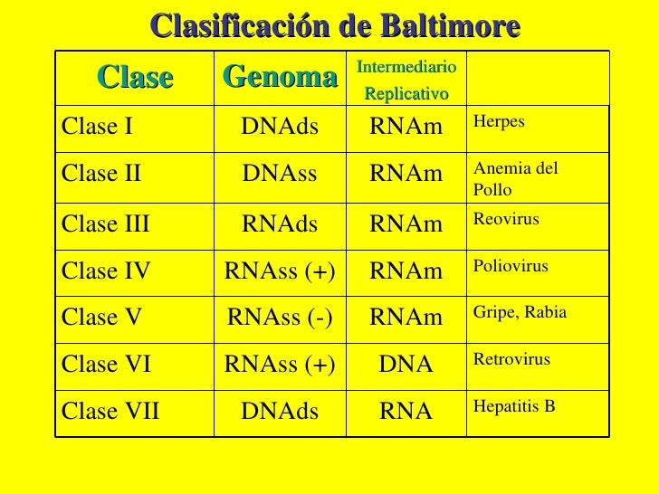 VirologíA