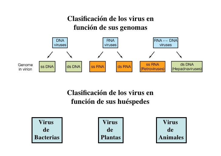 Clase VirologĂa. Clase VirologĂa.