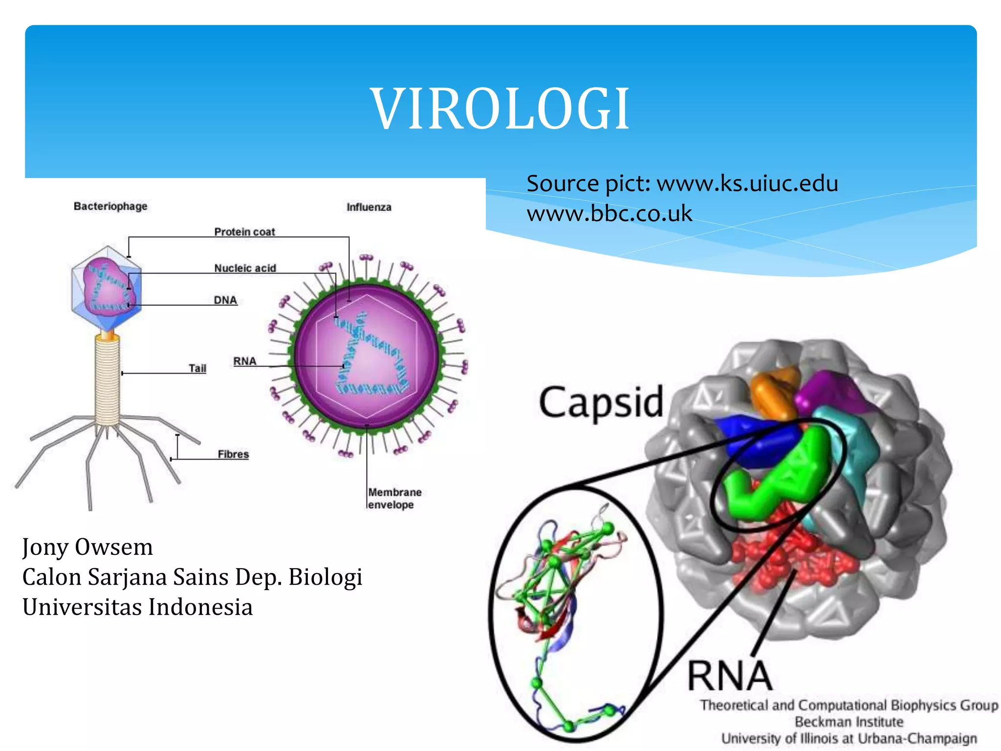 Virologi | PDF