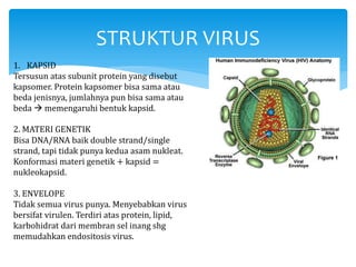 Virologi | PDF