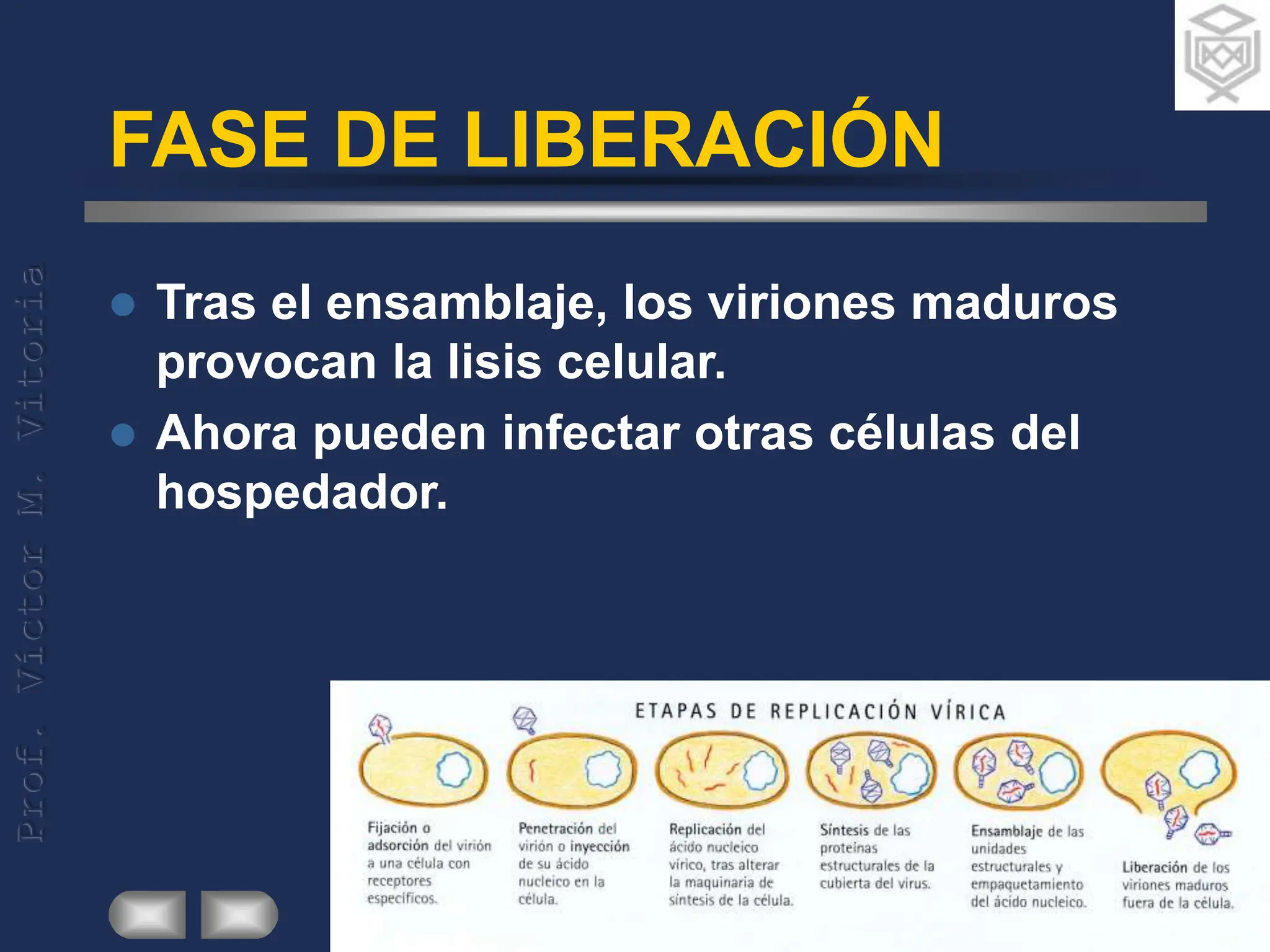 virologia_estructura,tiposdevirus,reproduccion.ppt