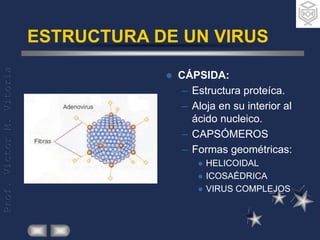 virologia_estructura,tiposdevirus,reproduccion.ppt