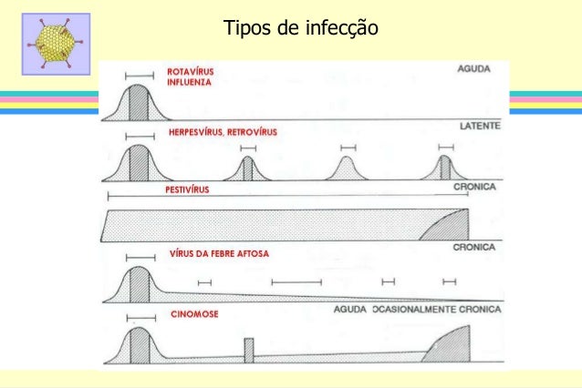Virologia Geral - Patogenia das infecções virais