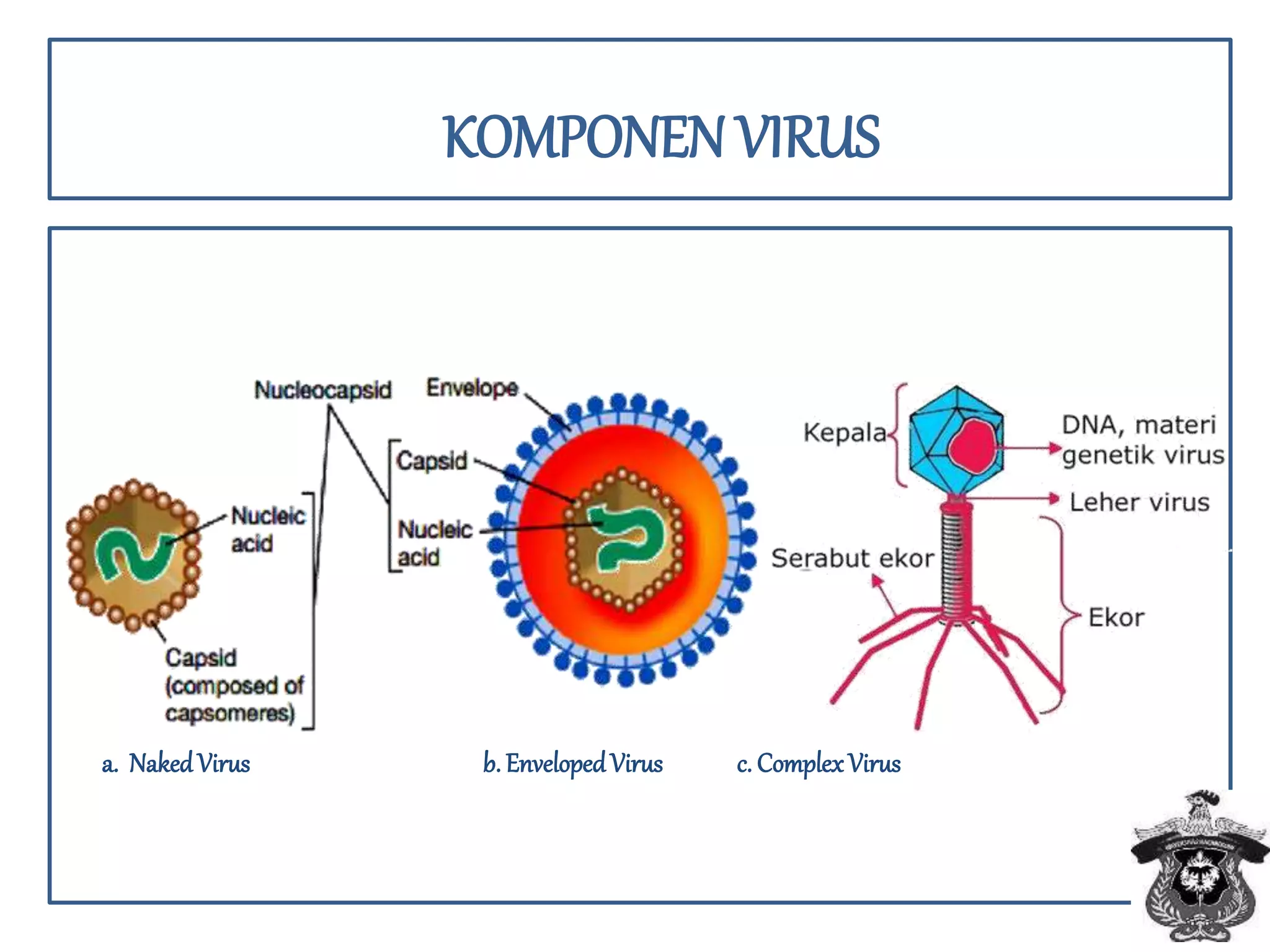 VIROLOGI DAN IMUNOLOGI.pptx