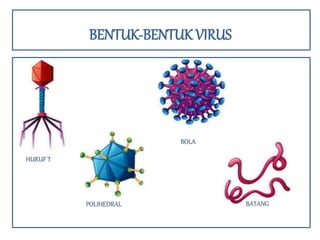 VIROLOGI DAN IMUNOLOGI.pptx