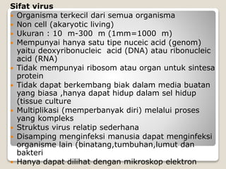 virologi dasar.ppt