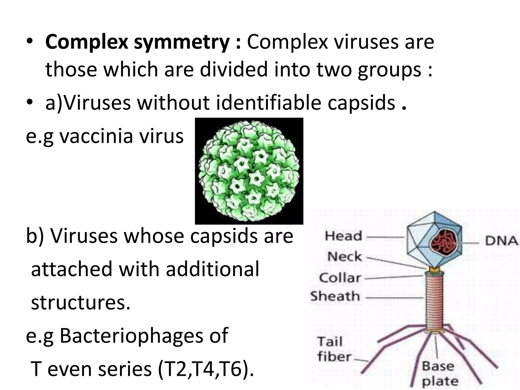 Virology | PPTX