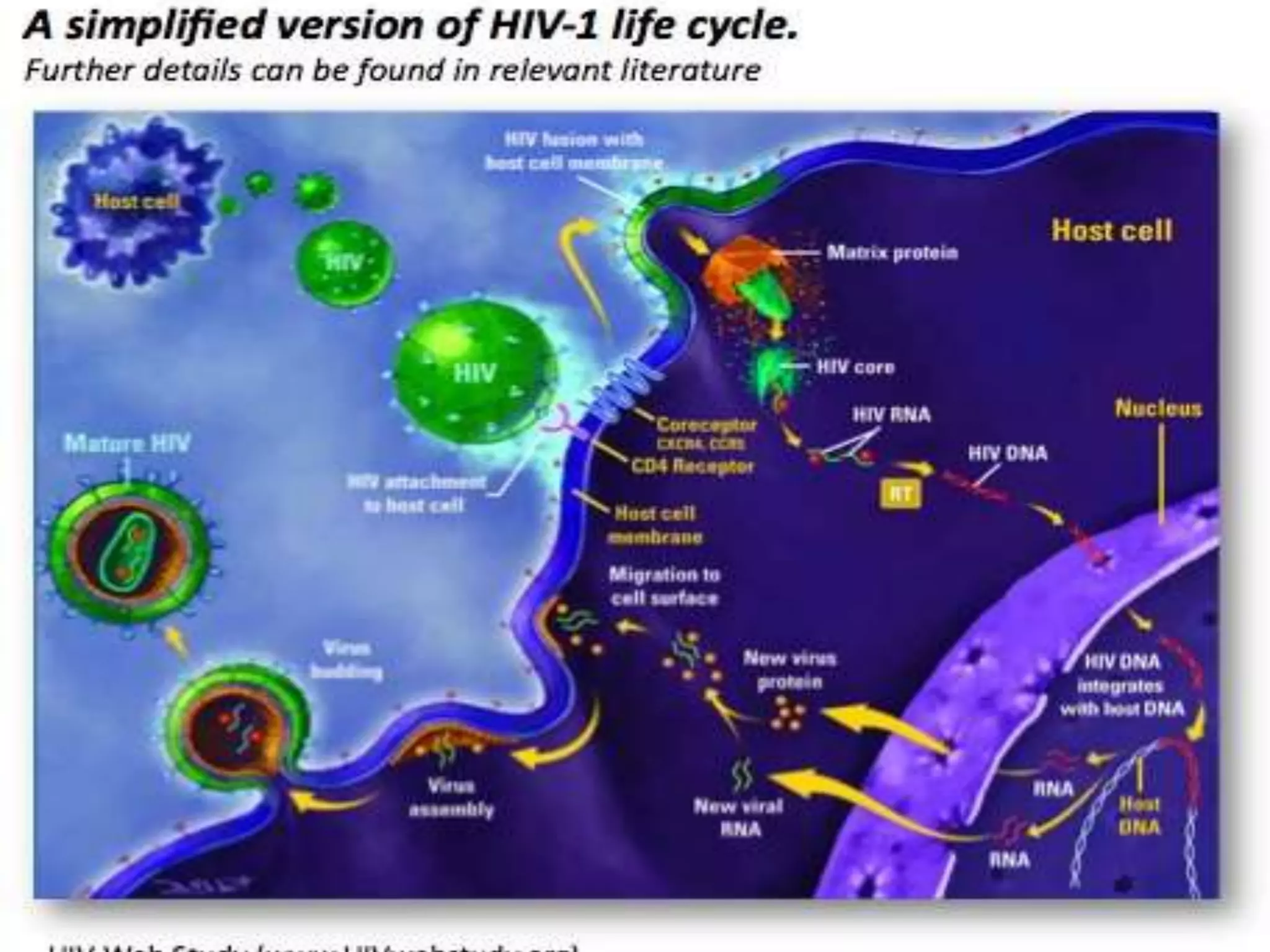 Virology | PPTX