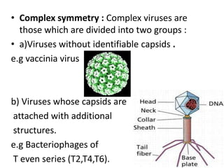 Virology | PPTX