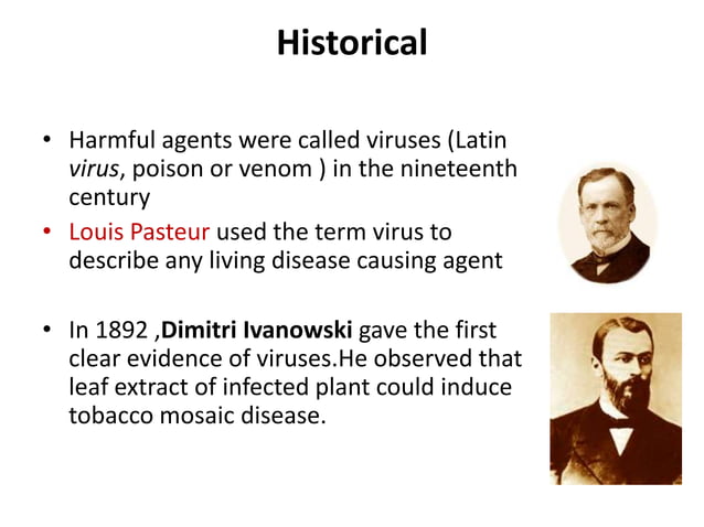 Virology | PPTX | Biological Sciences | Science