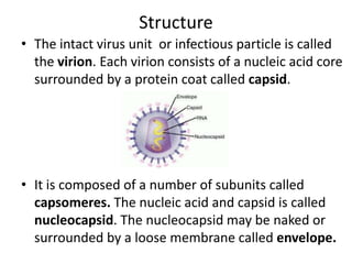 Virology | PPTX