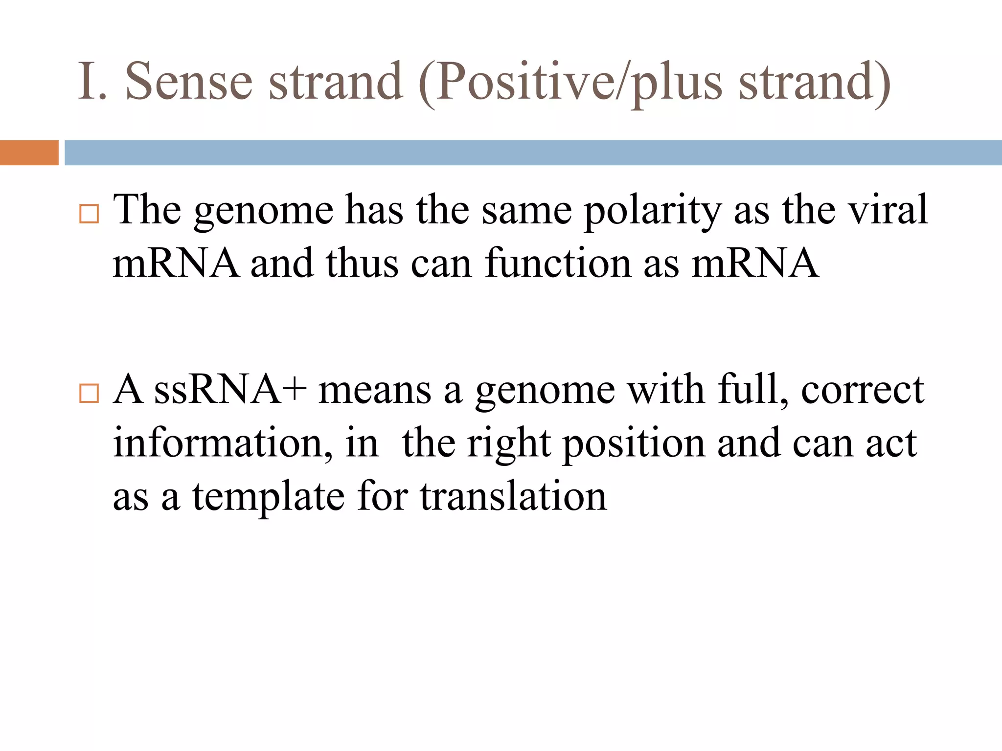 Virology Lecture Note | PPTX