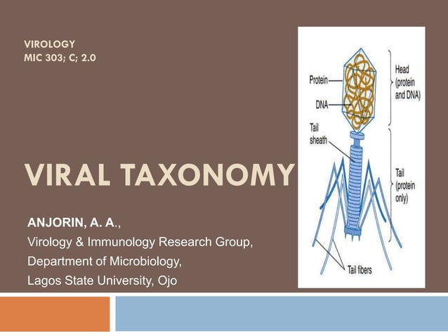 Virology Lecture Note | PPTX