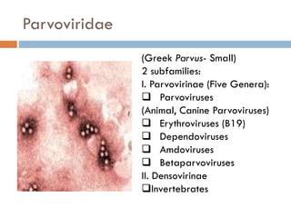 Virology Lecture Note | PPT