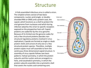 Virology | PPTX | Chemistry | Science