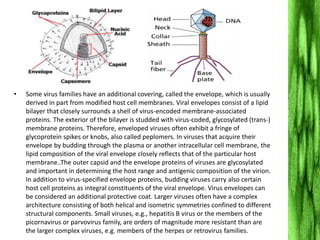Virology | PPTX | Chemistry | Science