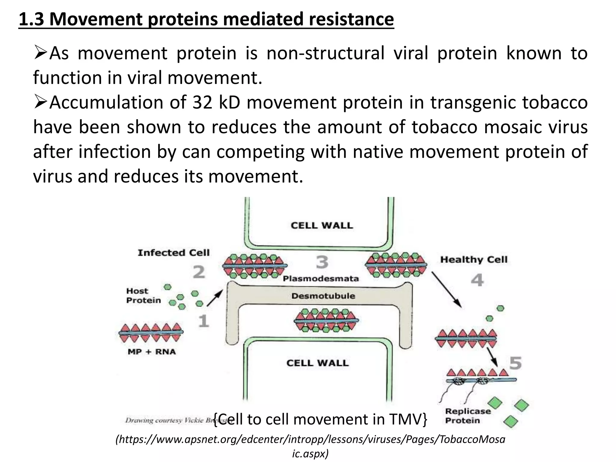 Virus resistant transgenic plants | PPTX