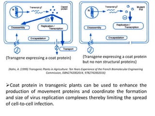 Virus resistant transgenic plants | PPTX