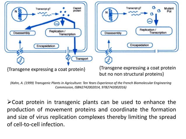 Virus resistant transgenic plants | PPTX