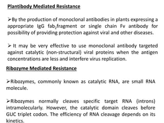 Virus resistant transgenic plants | PPTX